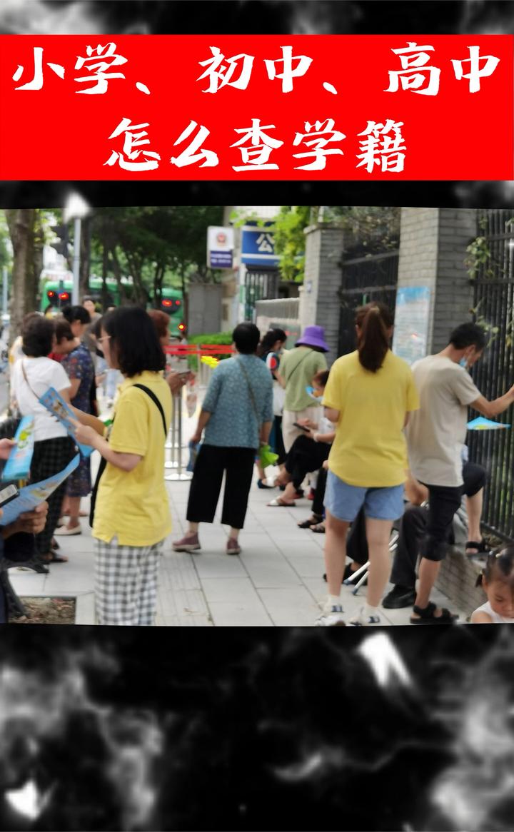 四川中小学生(小学、初中、高中)如何查学籍?#学籍#初升高