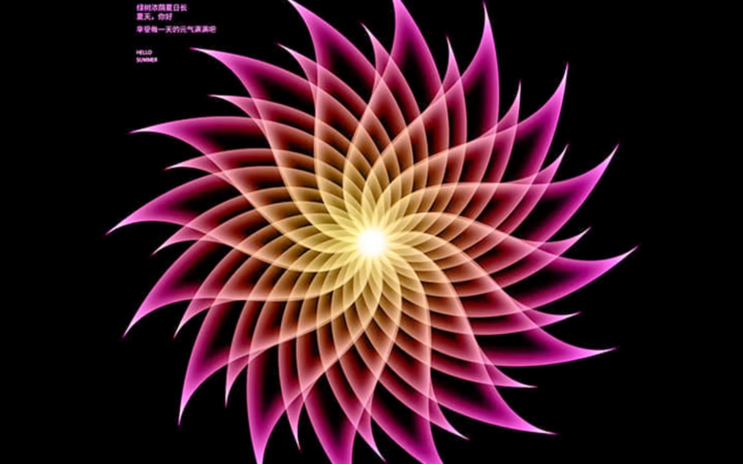 Ps教程|零基础也能轻松搞定的旋转花朵海报!
