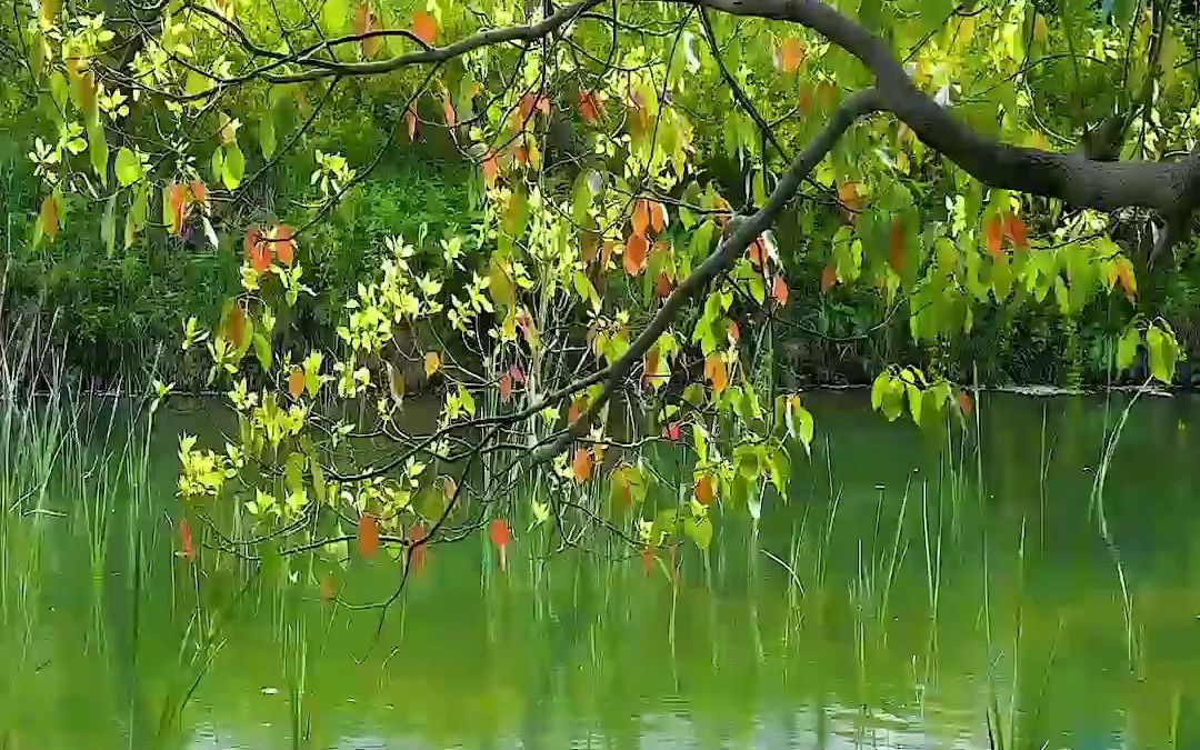 ...水中戏,何处不相宜。风景所有美好都发生在夏天一起享受大自然的美