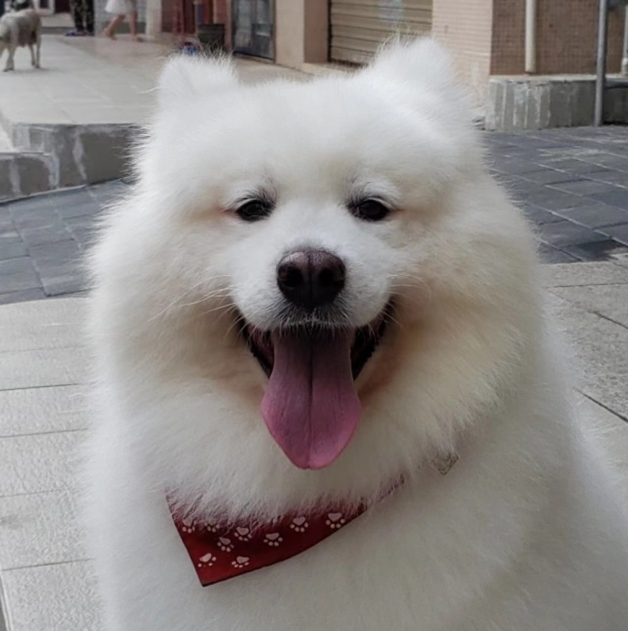 要凉啦 