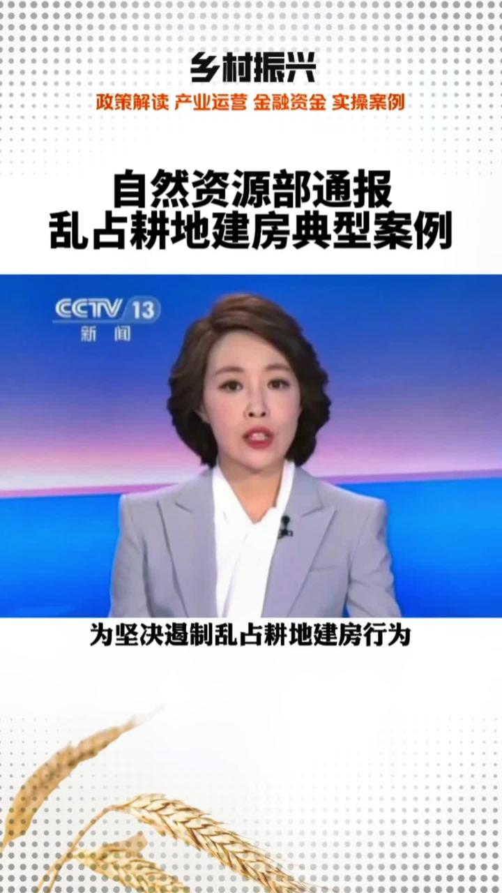 自然资源部通报乱占耕地建房典型案例!#乡村振兴dou行动 @DOU+小...