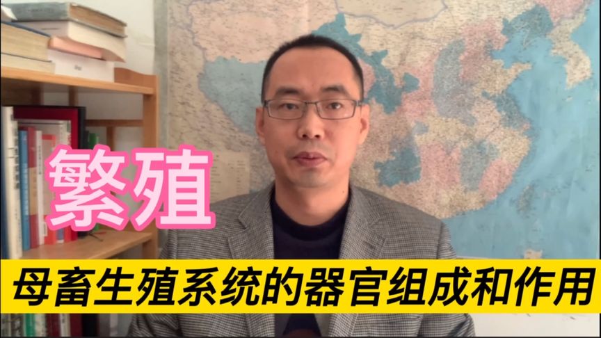 饲养母畜自繁自养效益高,必须清楚母畜生殖系统的器官组成和作用