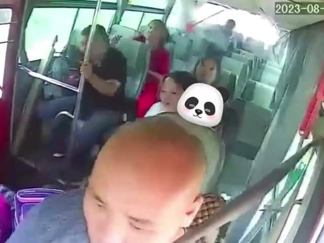 乘客未系安全带,6次弹起致骨折