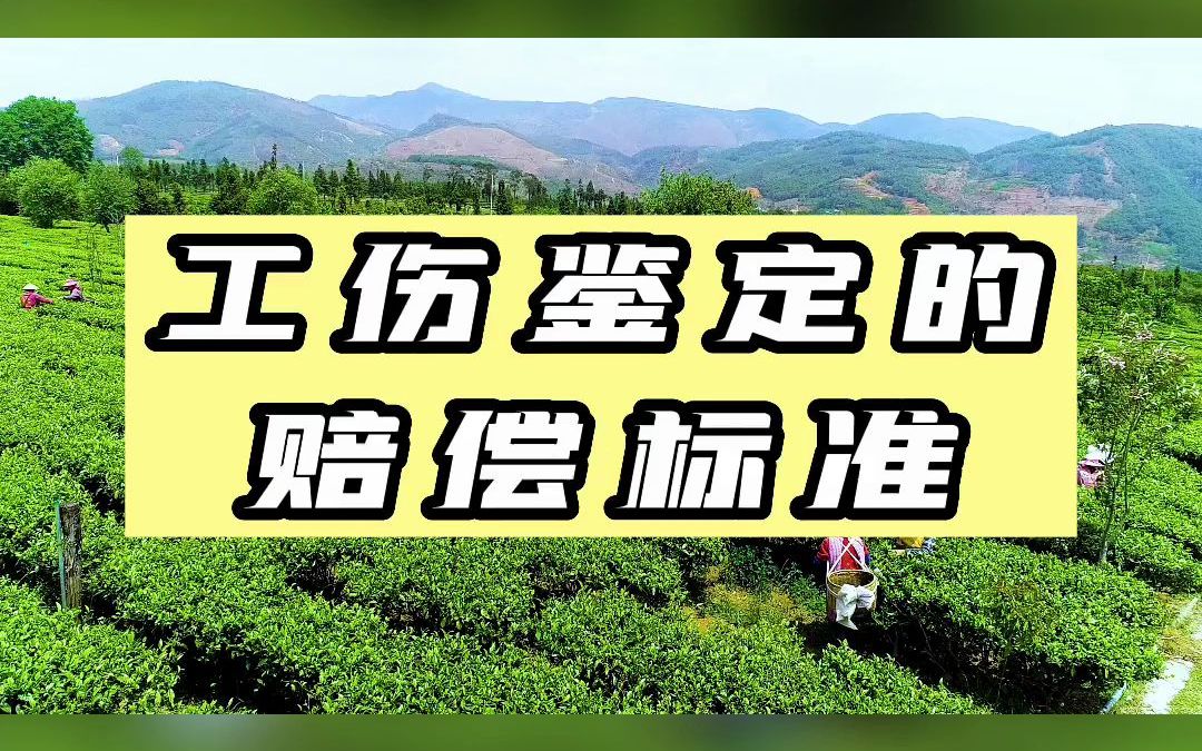 工伤鉴定的赔偿标准