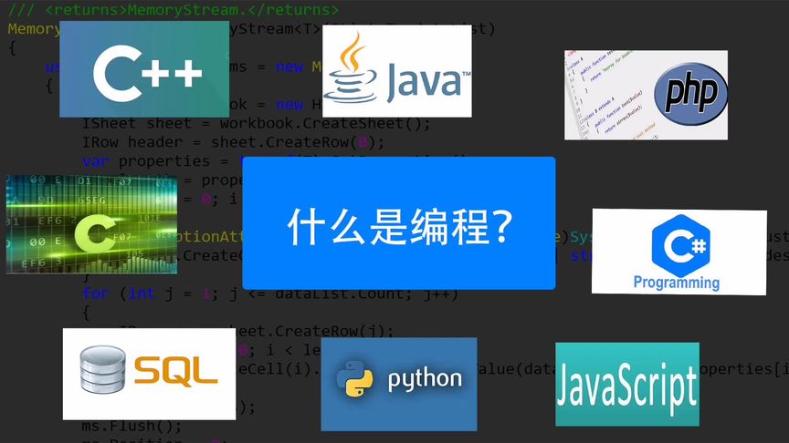 简单学编程|什么是编程?#知识分享 #编程入门 #编程语言
