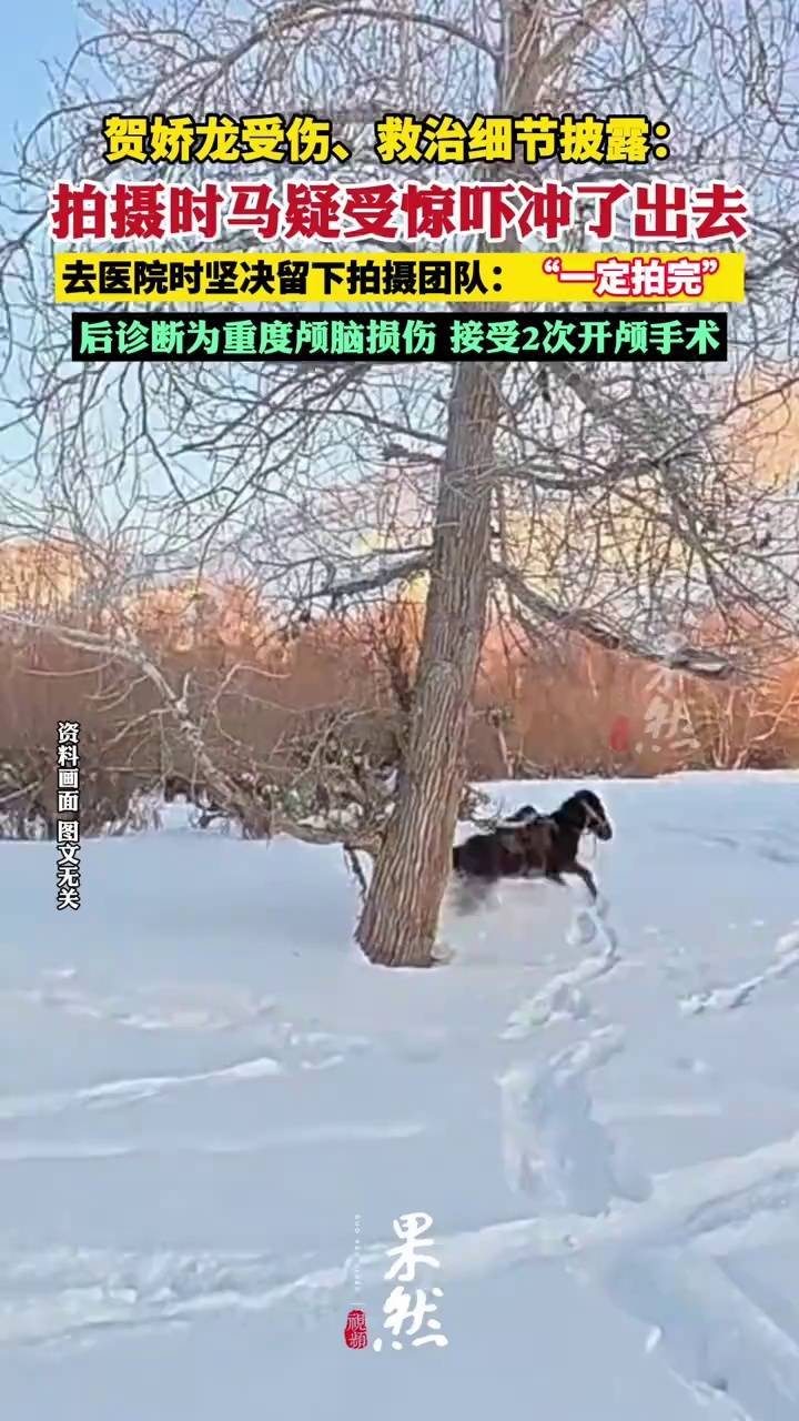 贺娇龙受伤、救治细节披露:拍摄时马疑受惊吓冲了出去,后诊断为重度...