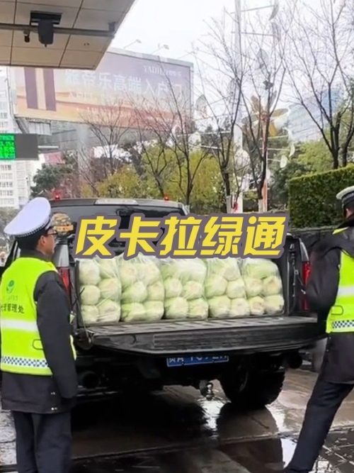 原来皮卡拉满白菜可以免过路费,皮卡走绿通是真的方便