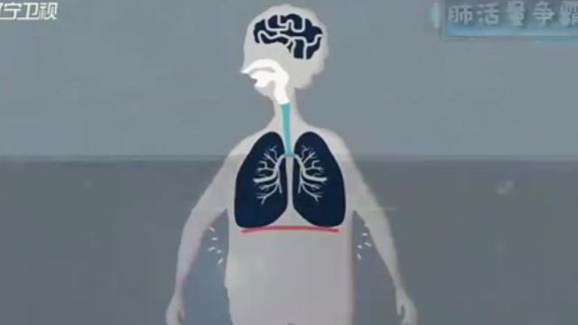人在晚上是怎么呼吸的?靠的不是肺而是肺下面的肌肉!