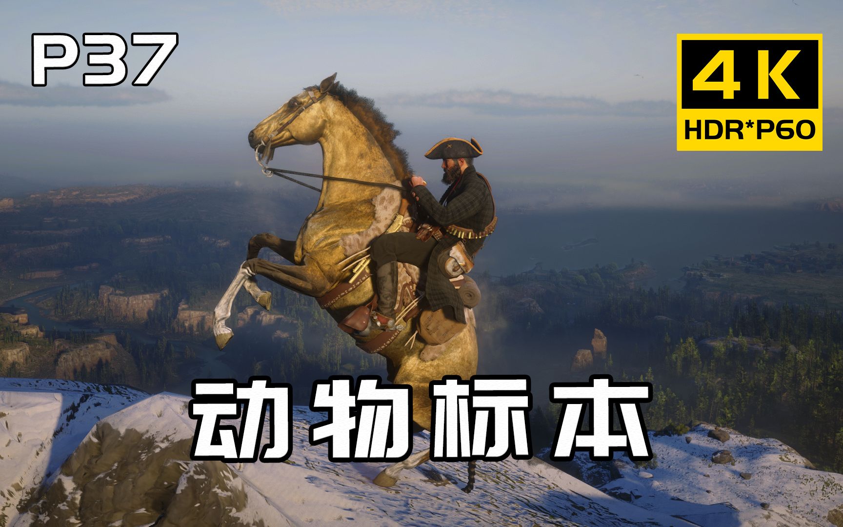 史上第二肝任务,3星动物标本搜集攻略,建议收藏!荒野大镖客2