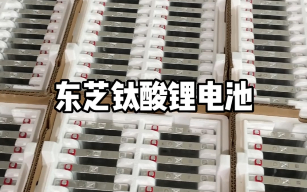 循环次数达两万多次的钛酸锂电池原因长这样