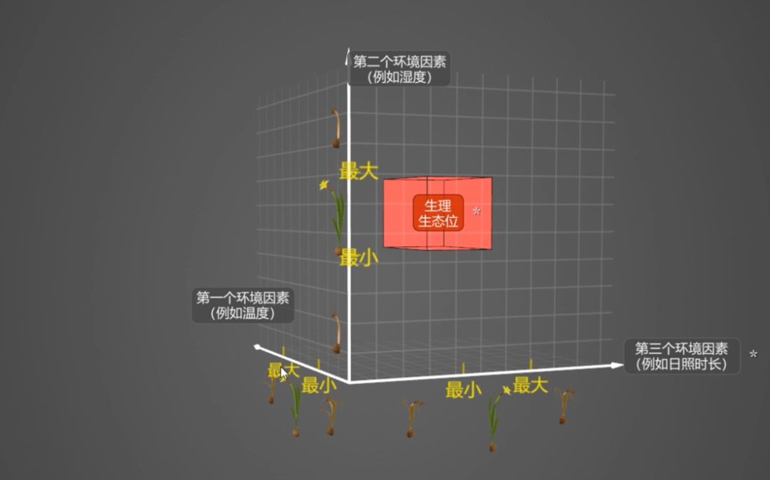 生理生态位的概念展示
