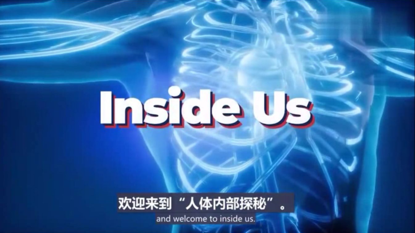 【人体解剖学完全指南】一口气看懂人体十大系统 3D动画讲解