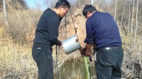 简单粗暴方法抽水，不用电也能轻松搞定，一般人没有见过