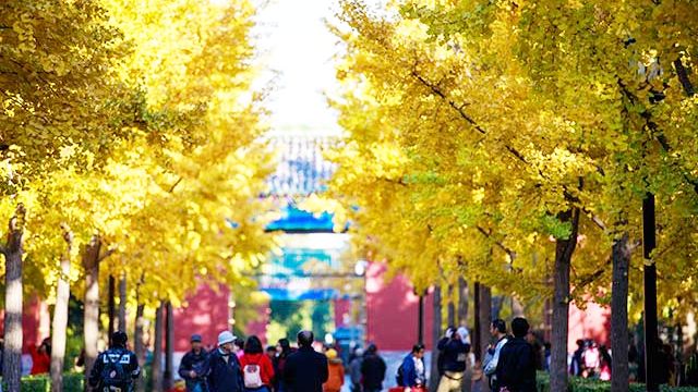 坐标北京,我用60秒时间向这个秋天告别