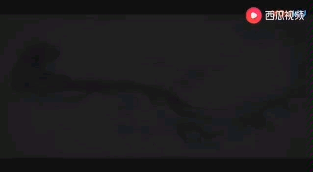 国家中医药宣传片