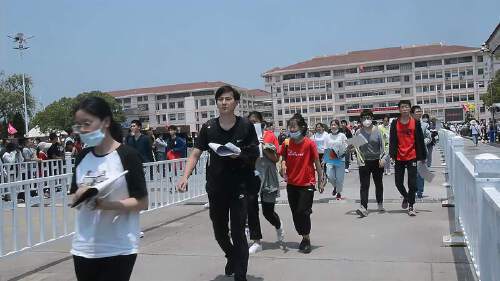 江苏白蒲高中2024高校专项录取大爆发!985211录取率再创新高