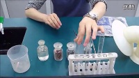 中考化学实验2 - 探究锌、铜、镁的金属活动性_标清
