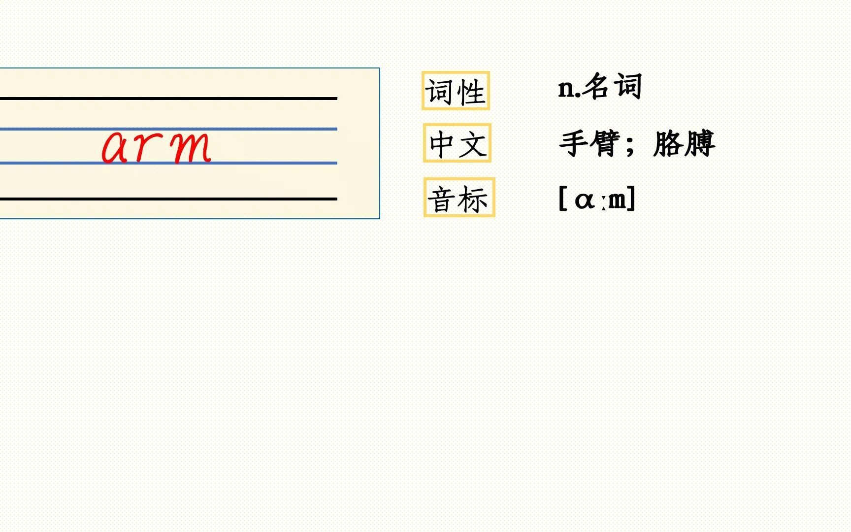 三年级上册英语unit3单词:arm