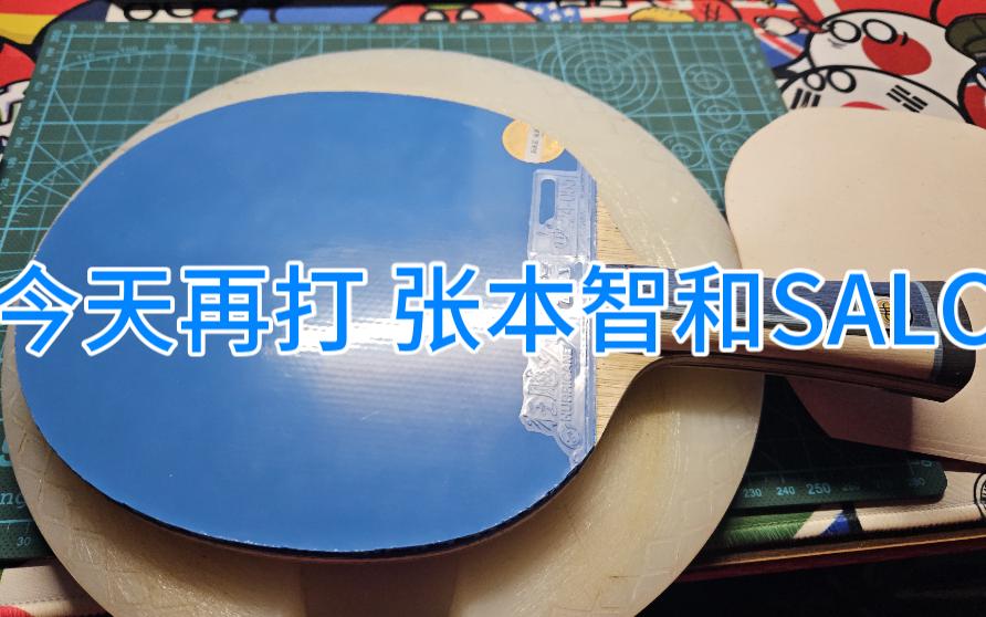 再打张本智和SALC(对比樊振东SALC)
