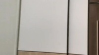 现代简约衣柜 轻奢风推拉门趟门衣柜 广州盛世家具有限公司