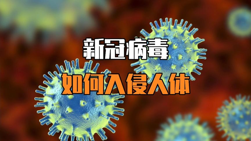你知道新冠病毒是如何入侵我们身体的吗?这个视频将告诉你答案。