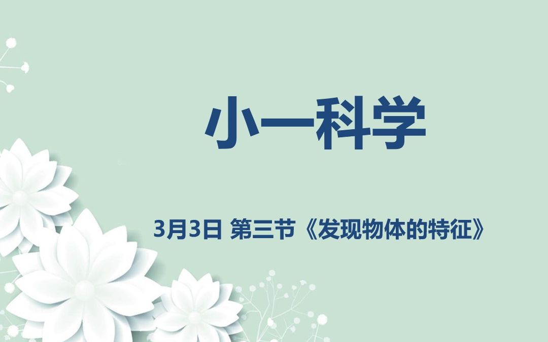 小一科学03-03 《发现物体的特征》