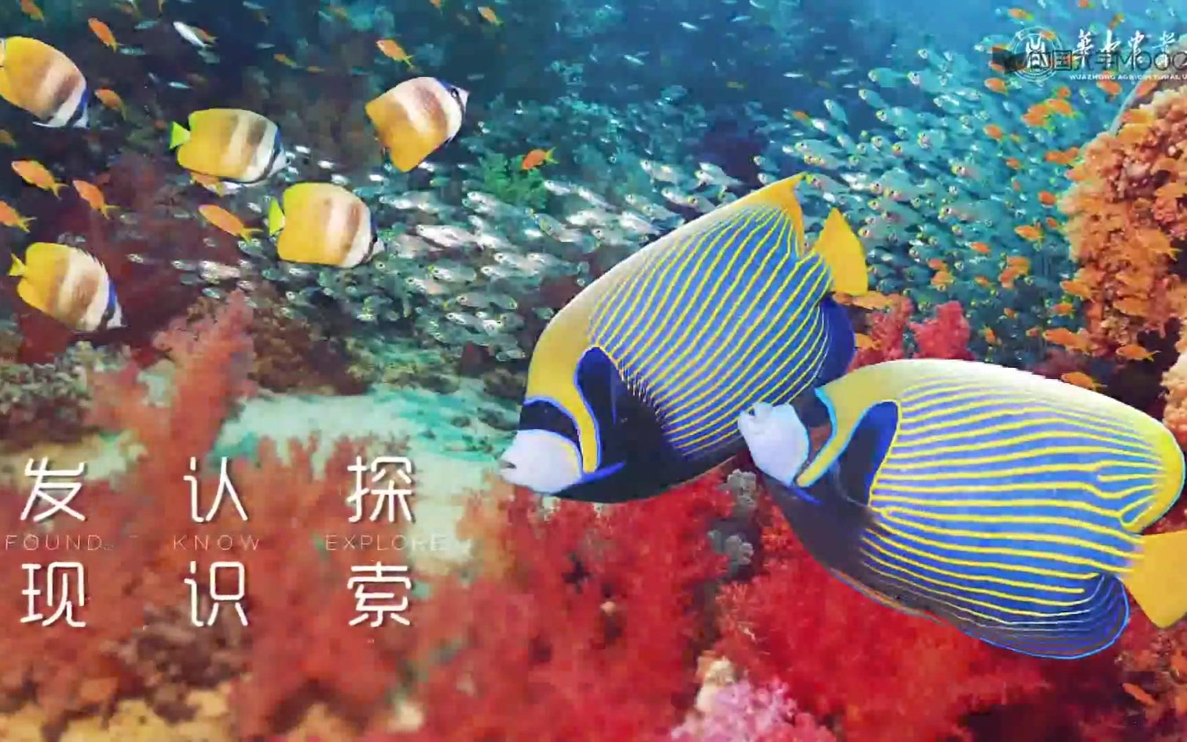 动物学-华中农业大学