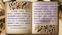 五年级语文(部编版)《课外阅读指导》