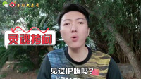 大陆的尤尼克斯TW/SP版羽毛球拍全是精仿假货?真假掺卖?来听听...