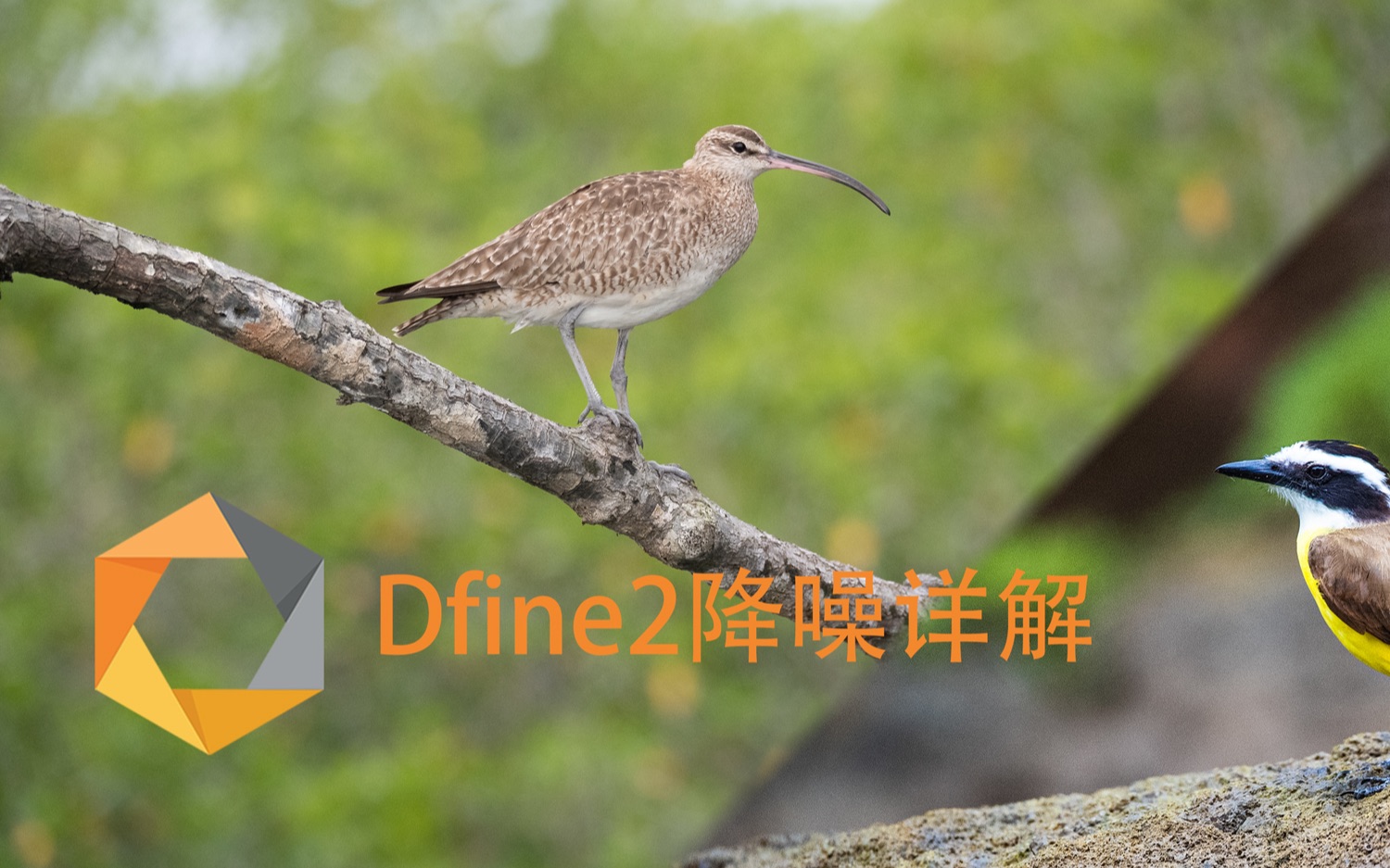 Nik插件Dfine2降噪详解