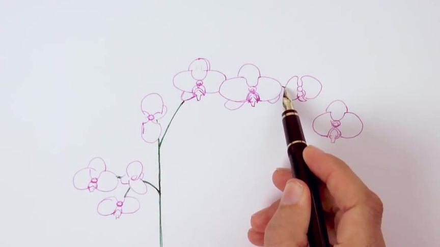 看看大师如何画一盆蝴蝶兰,原来这么简单!想学的看清楚了!