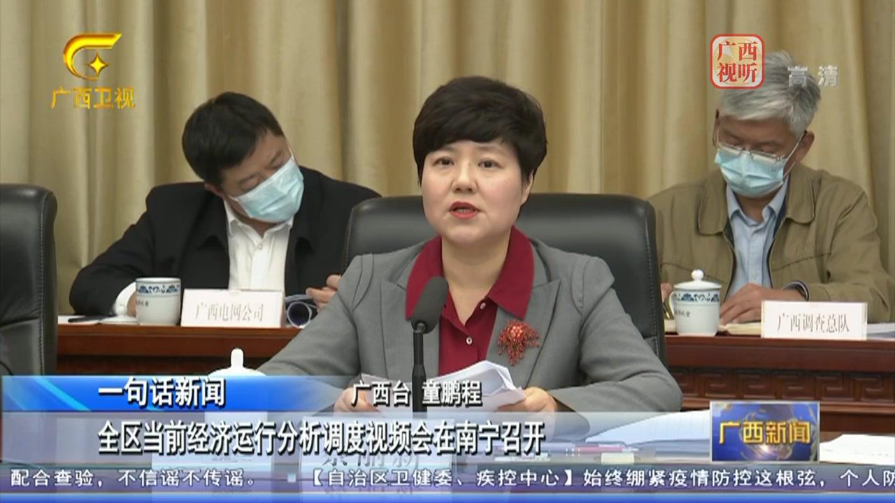 【一句话新闻】全区当前经济运行分析调度视频会在南宁召开