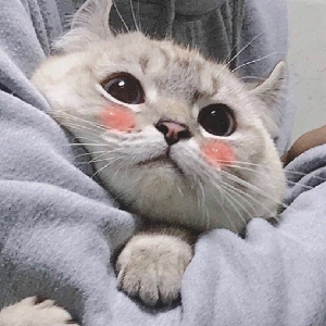 是云子呦 