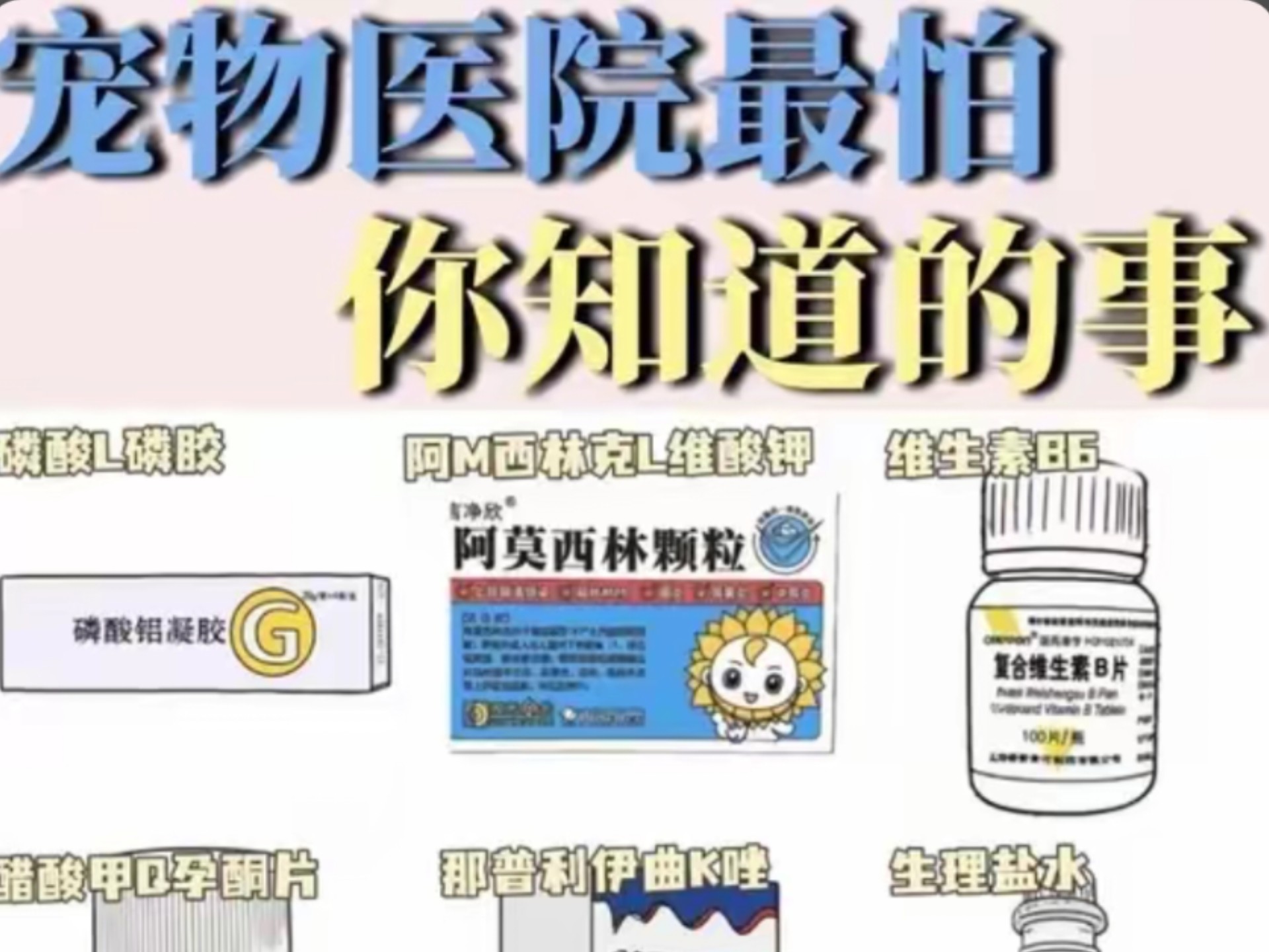 宠物医院最怕你知道的事儿!