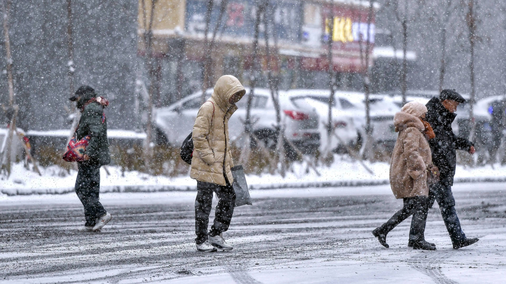 大雪、暴雪、大暴雪,特大暴雪来袭!将影响超20省区市