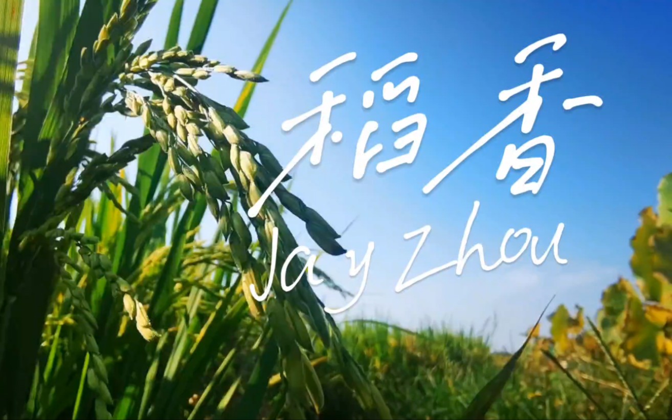 周杰伦-稻香|完整版 动态歌词 LyricsVideo无损音质