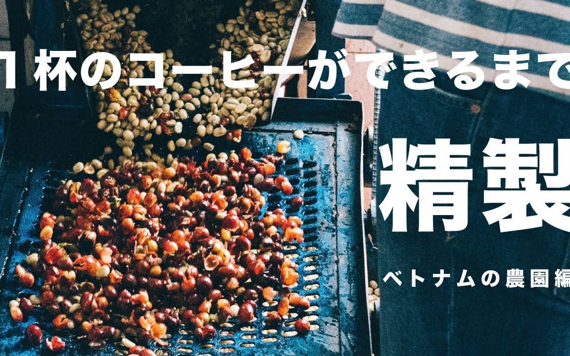 一杯咖啡是如何生产的?咖啡豆去皮、发酵、干燥过程介绍