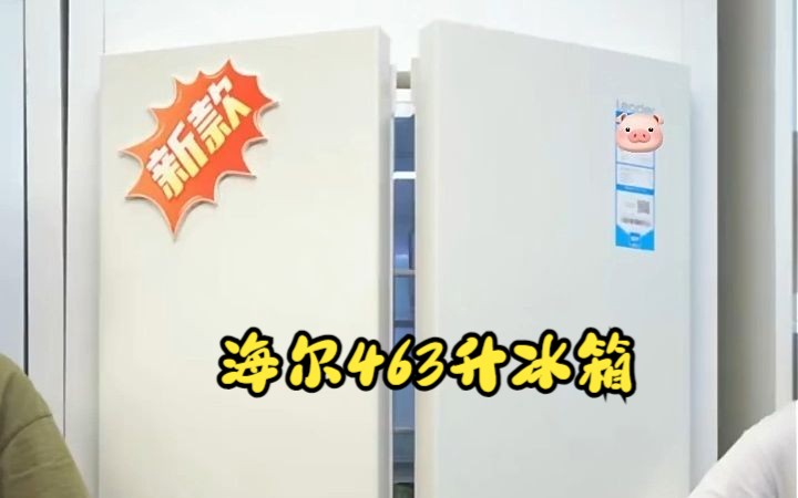 海尔统帅463升冰箱