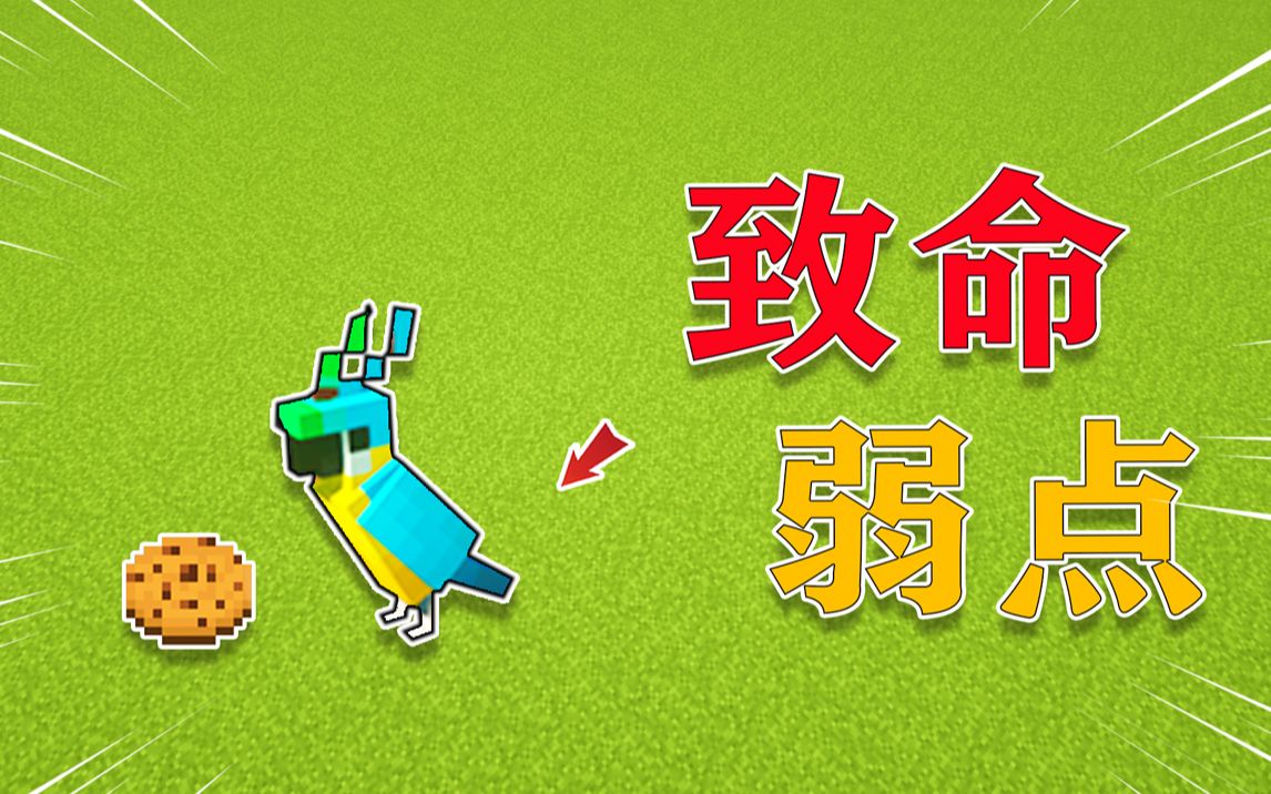 我的世界:抗性提升255鹦鹉吃曲奇,会发生什么?