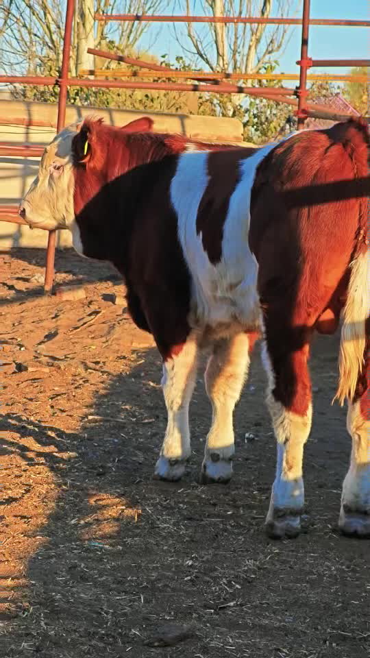 #中国第42次南极考察队出征 #erp仓库管理自学免费教程 #新人拍摄...