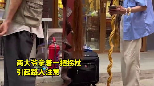 两大爷拿着一把拐杖,引起路人注意,网友:看着就不便宜
