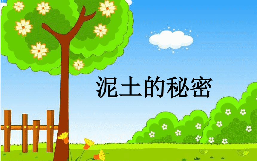 【幼师】幼儿园|科学领域优质公开课-合集