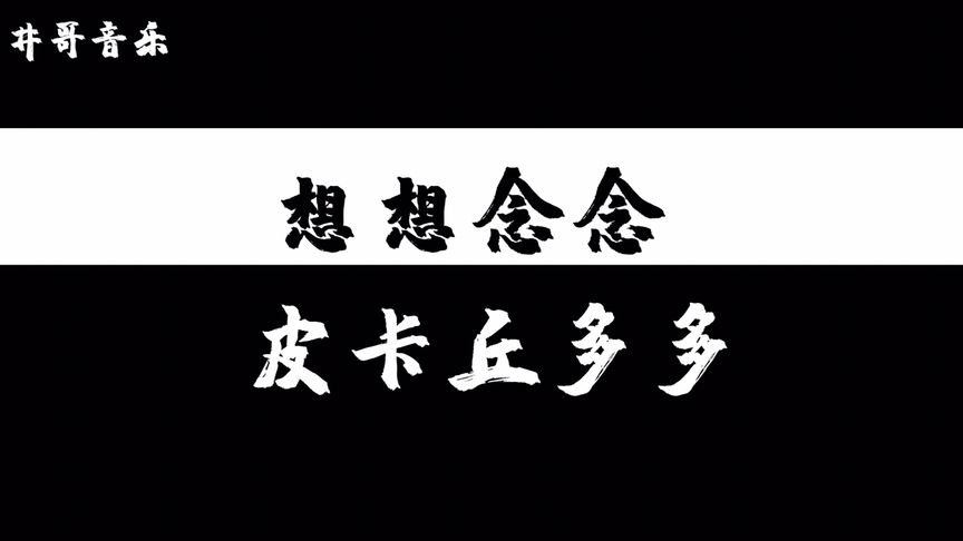 想想念念-皮卡丘多多