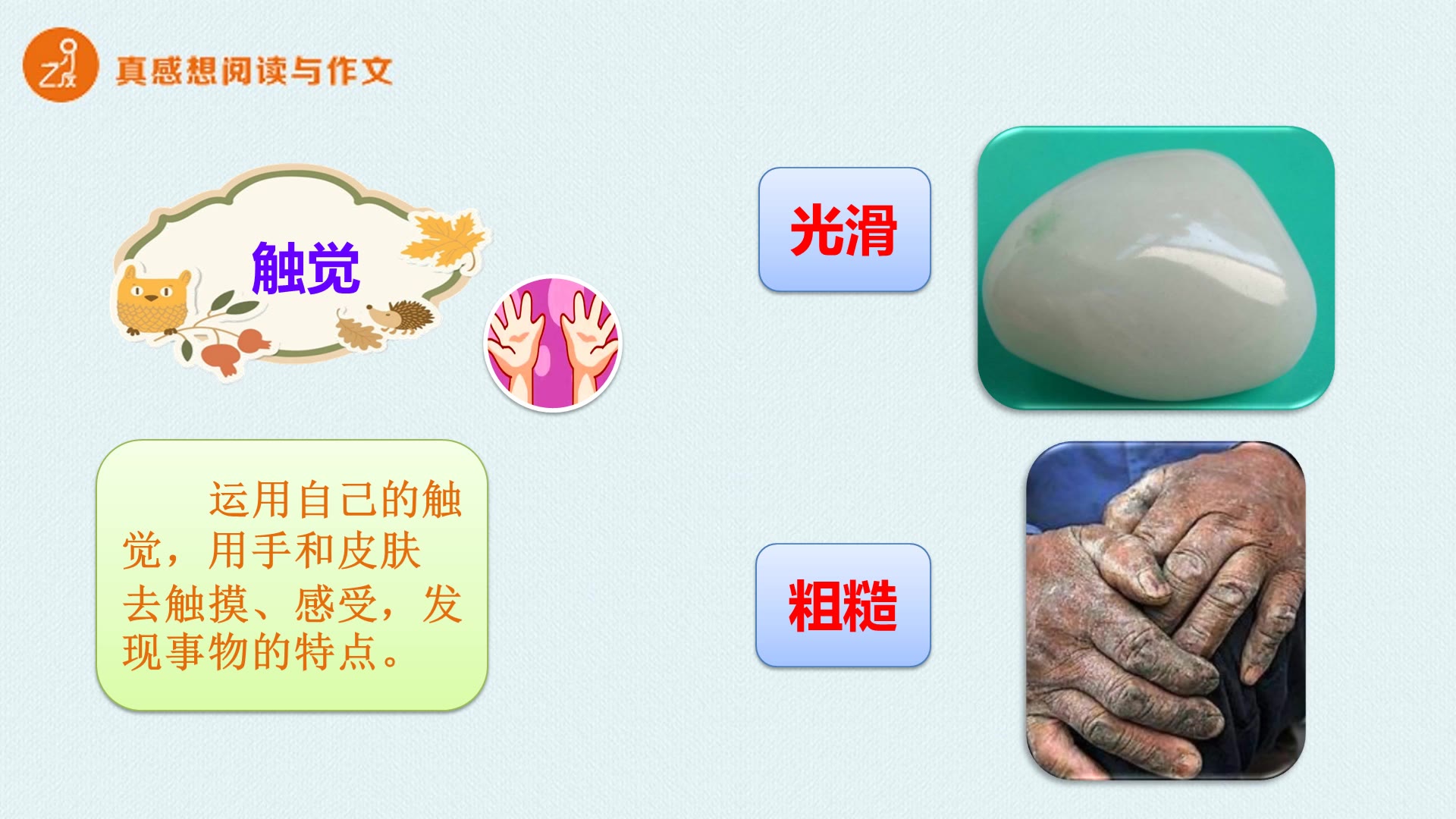 真感想阅读与作文一年级1期公益课