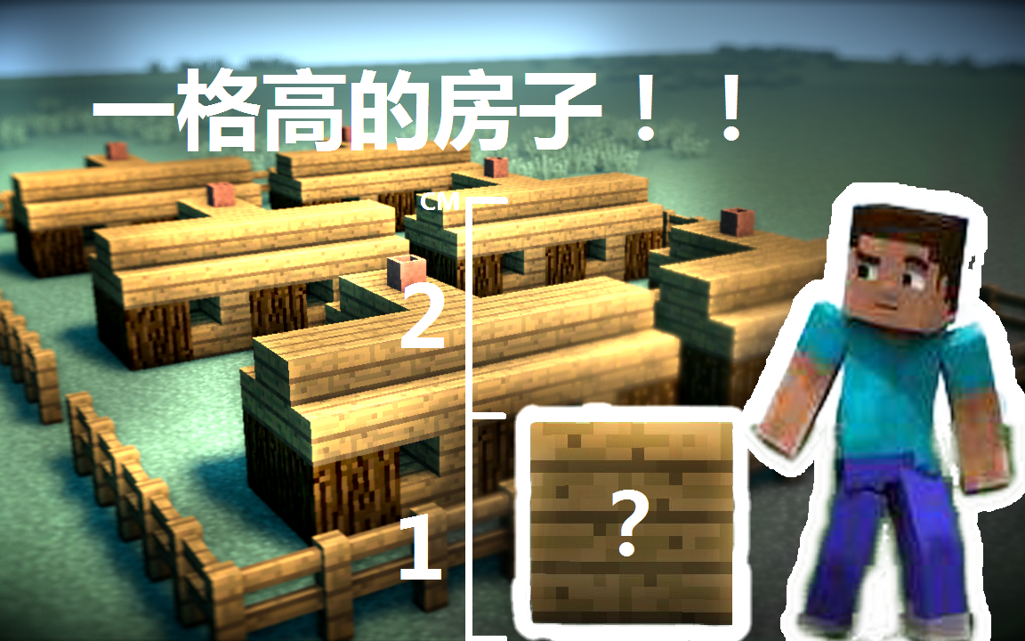 {MC}挑战一格高的房子!