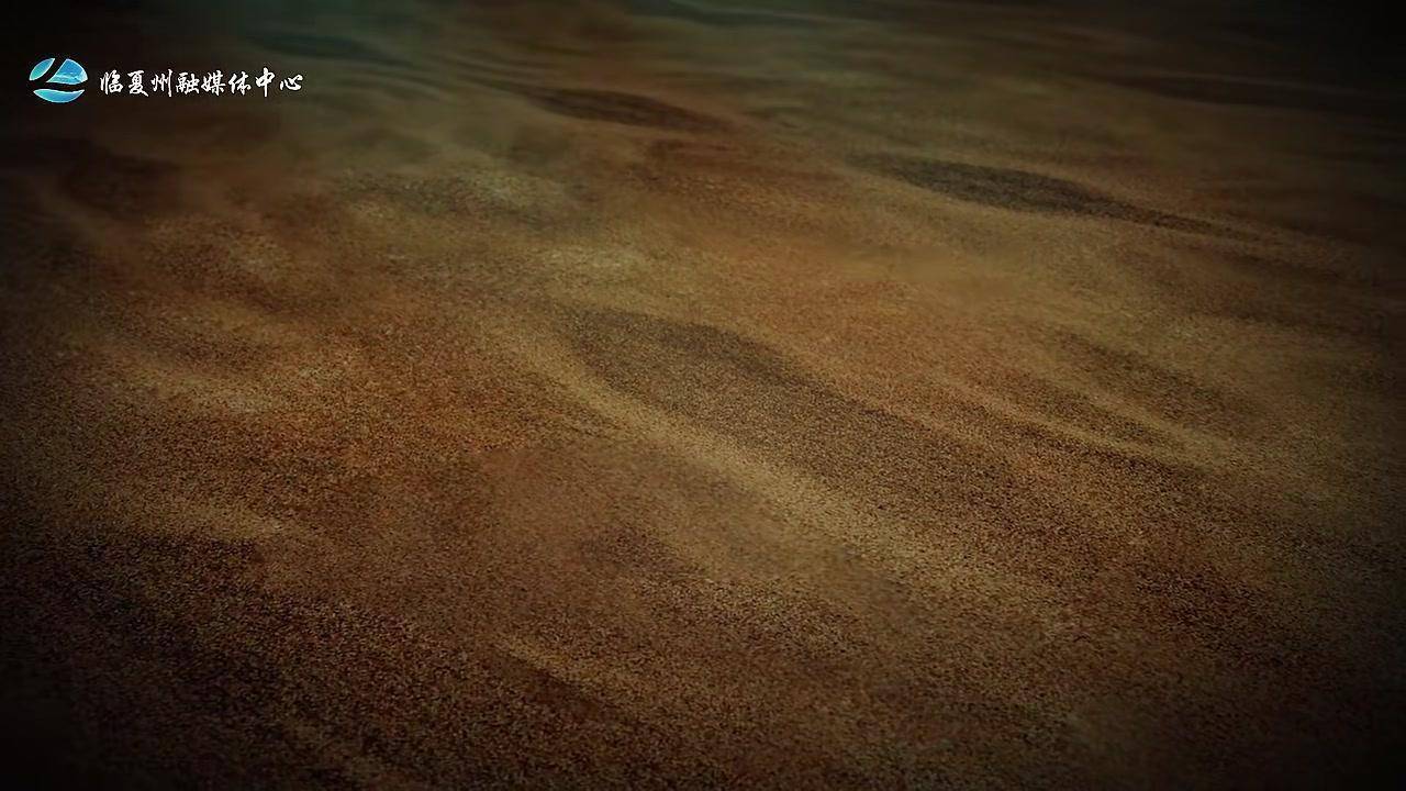 简启药魂·膳养千民--千年医简中的药膳密码。多民族血脉共融共生,用...