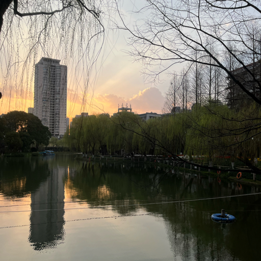 山水空弄 