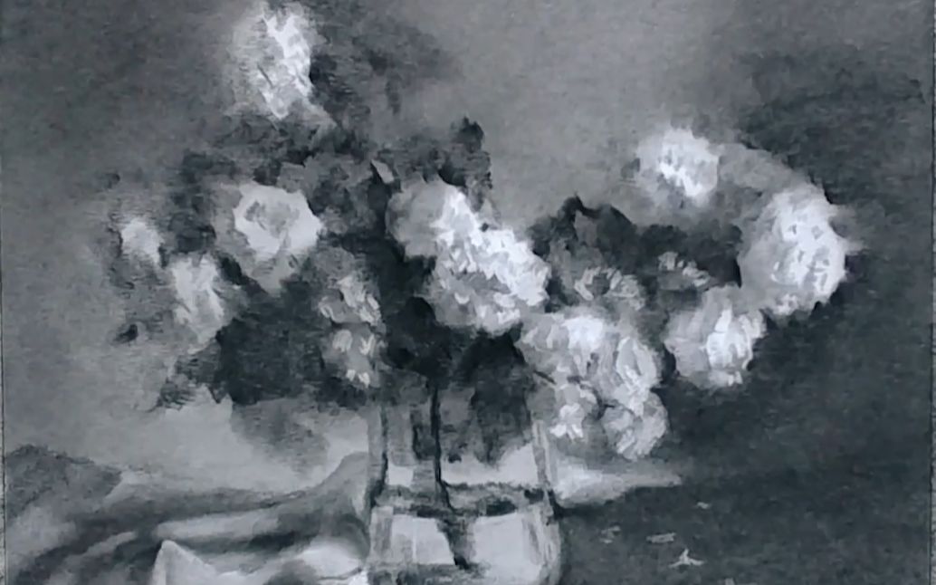 【素描静物】白玫瑰花素描小色稿,画好素描很简单