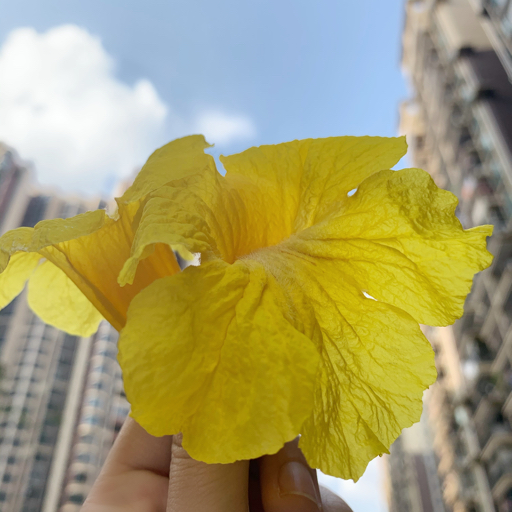 小乌龟快走 