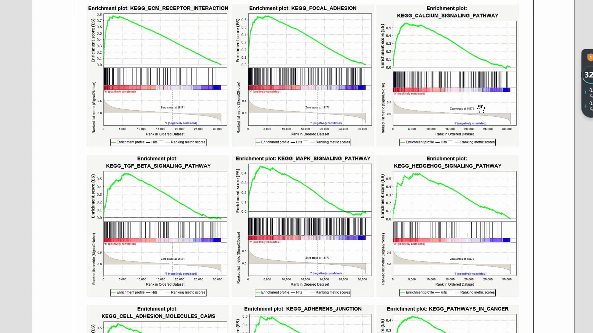 31单基因GSEA通路分析,KEGG,GO通路分析